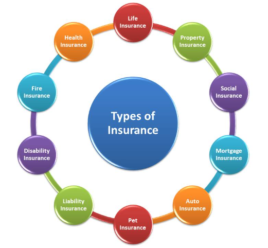 The Most Common Types of Insurance - Thuta Media